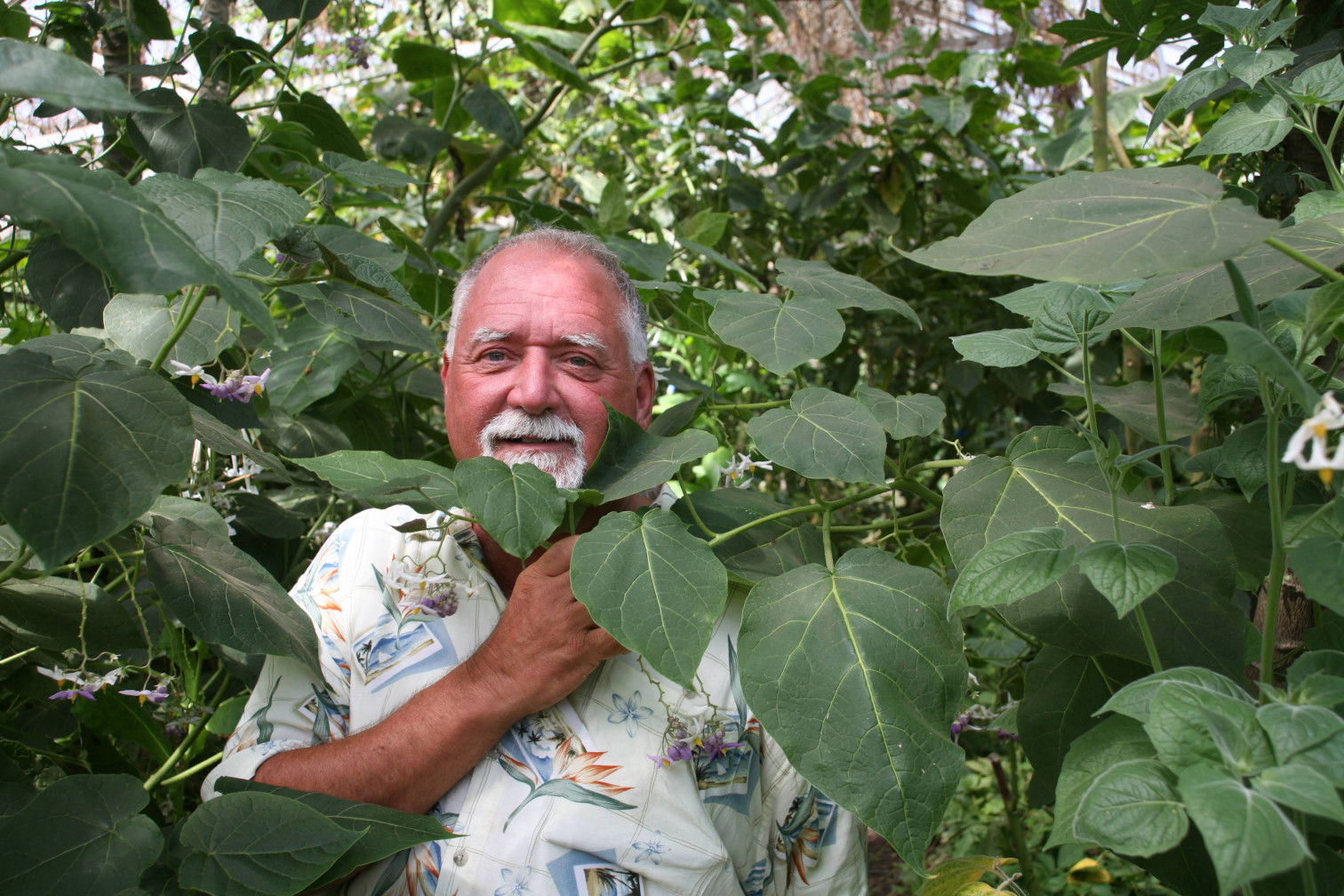 Whiskey Hill Farms' Clean-Fuel Revolution - Alcohol Can Be A Gas!